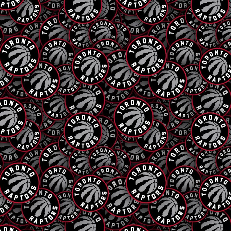 Toronto Raptors 23 – Pattern Crew