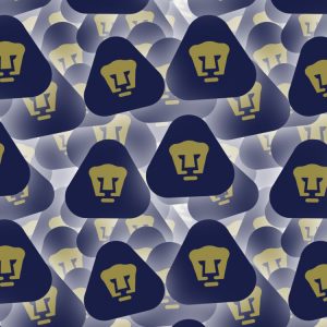 Puma UNAM – Pattern Crew