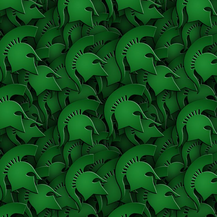 Halton Spartans – Pattern Crew