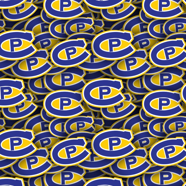Carleton Palace Canadians Pattern Crew carleton-palace-canadians-pattern-crew