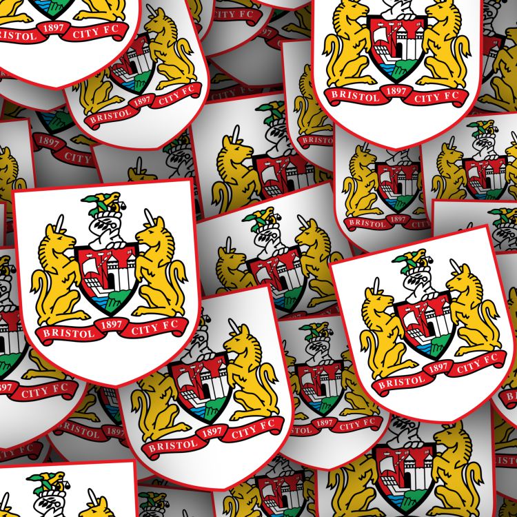 Bristol City FC – Pattern Crew