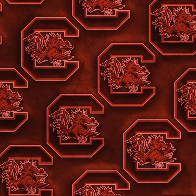 University of South Carolina Gamecocks Embossed 23 – Pattern Crew