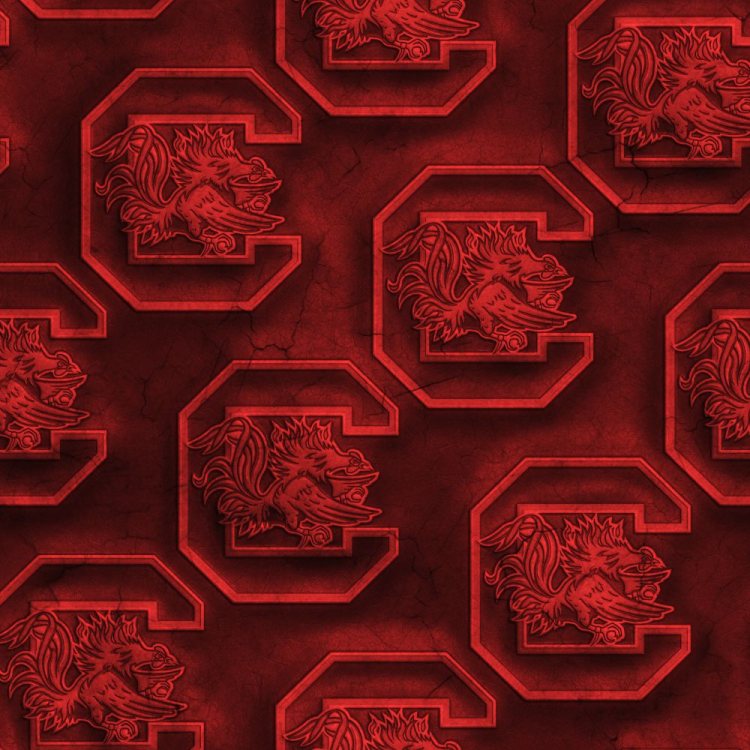 University of South Carolina Gamecocks Embossed 22 – Pattern Crew