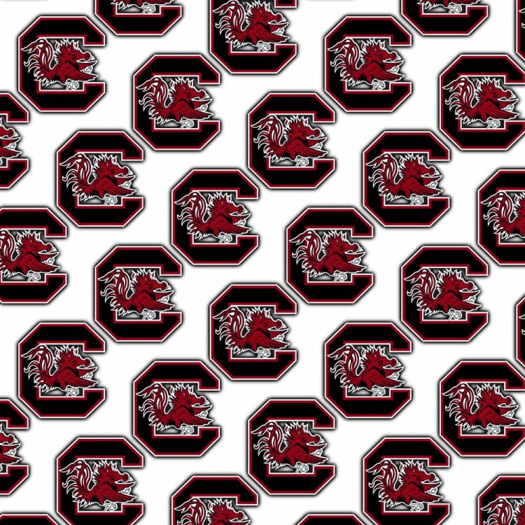 University of South Carolina Gamecocks 23 – Pattern Crew