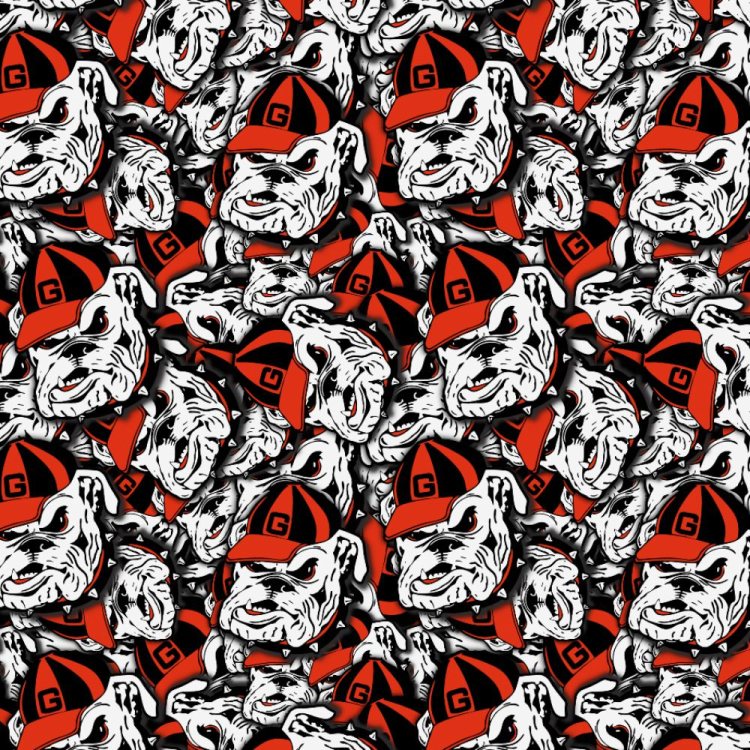 University of Georgia 24 – Pattern Crew