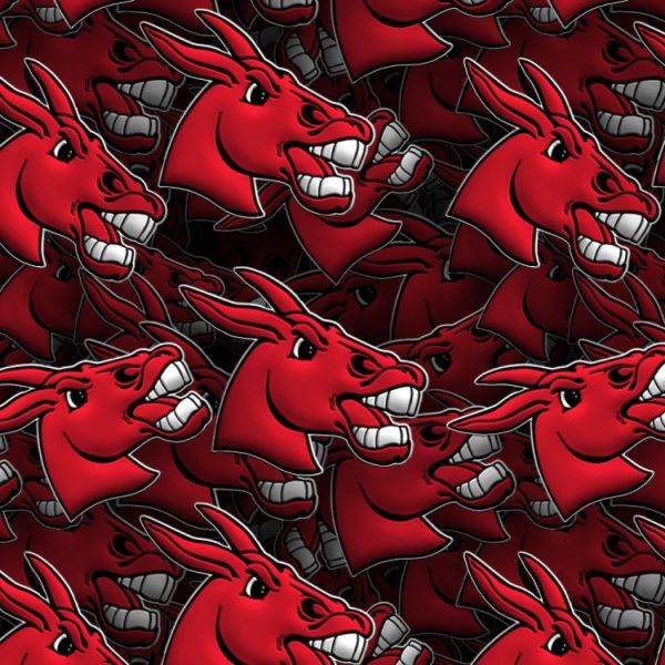 University of Central Missouri Mule – Pattern Crew