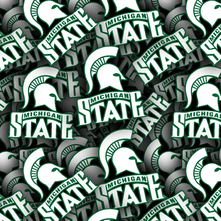 Michigan State University 23 – Pattern Crew