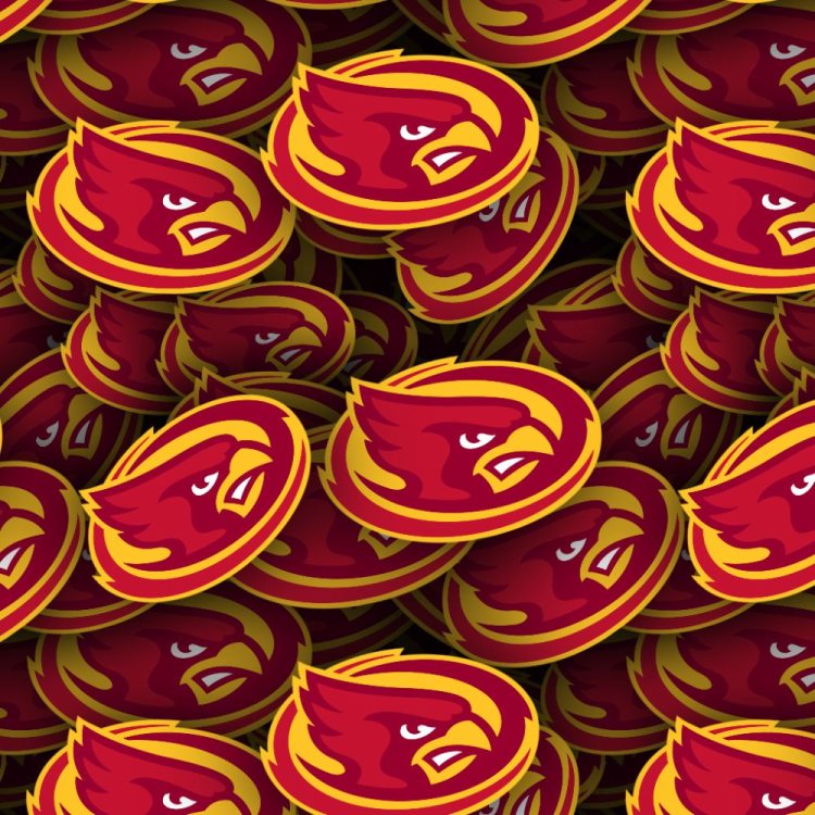 Iowa State University Cardinals – Pattern Crew