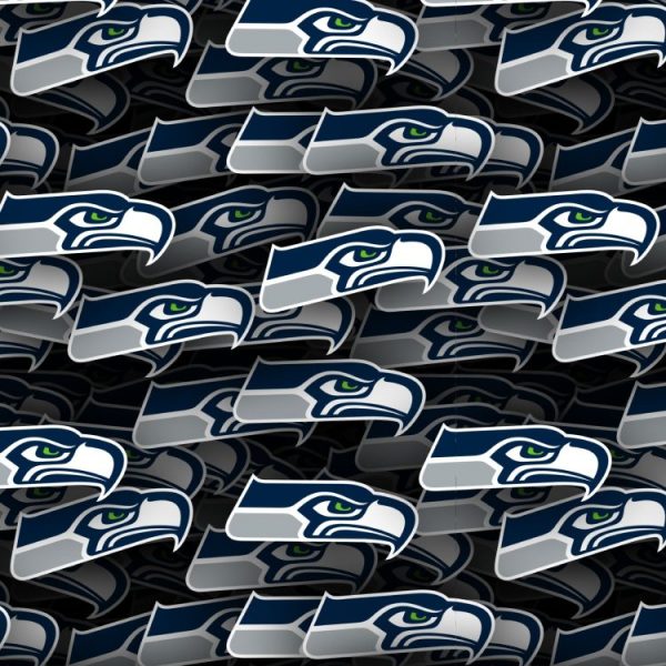 Seattle Seahawks 24 – Pattern Crew