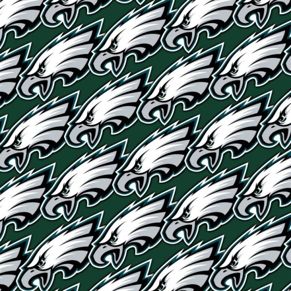 Philadelphia Eagles 24 – Pattern Crew