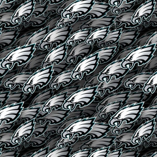 Philadelphia Eagles 22 – Pattern Crew