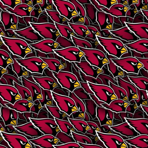 Dallas Cowboys 23 – Pattern Crew