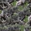 Gnarly Woods 22 Camouflage – Pattern Crew