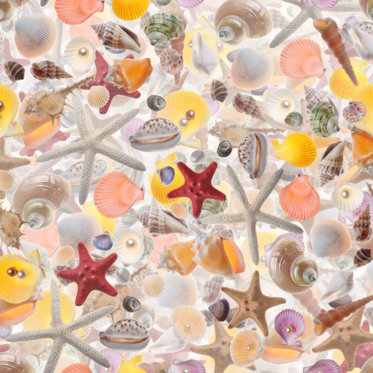 Seashells 26 – Pattern Crew