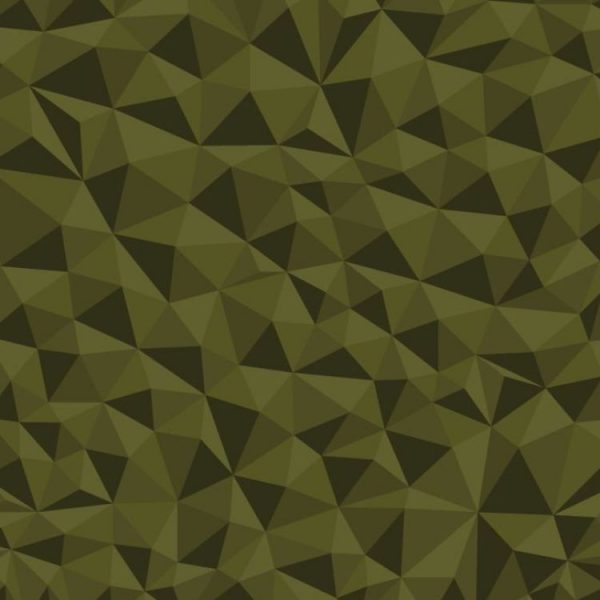 Broken Polygons 23 – Pattern Crew