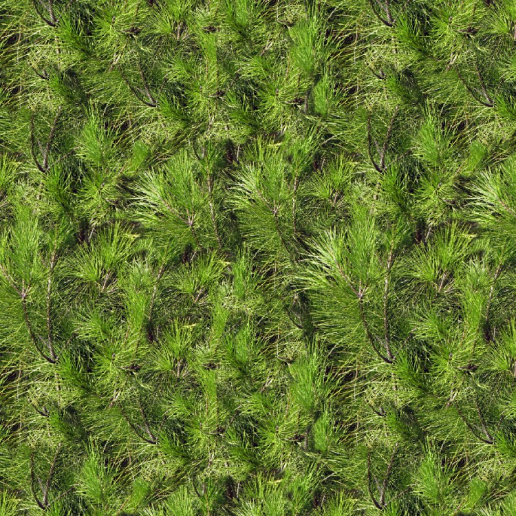 Pine Needles 22 – Pattern Crew