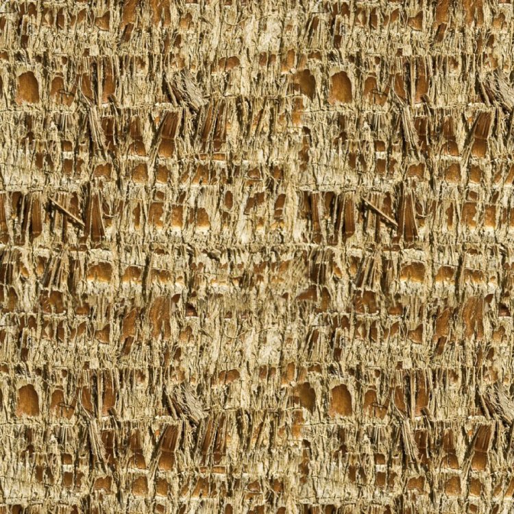 Palm Tree Bark 23 – Pattern Crew