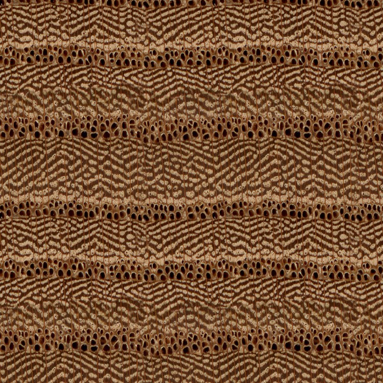 Red Elm Wood Endgrain – Pattern Crew