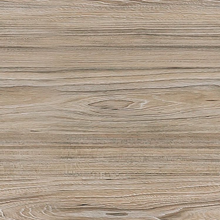 American Elm – Pattern Crew