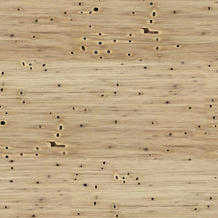 Wormy Basswood – Pattern Crew