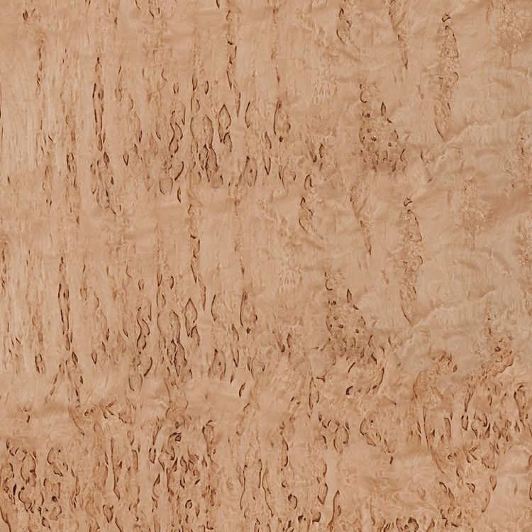 Birch Burl – Pattern Crew