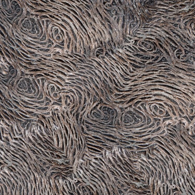 Curly Wood 23 – Pattern Crew