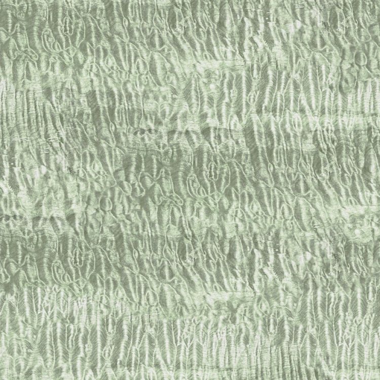 Curly Maple Woodgrain 23 Trapis Green – Pattern Crew