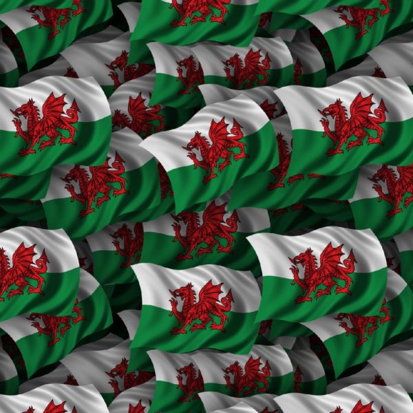 Welsh Flag 22 – Pattern Crew