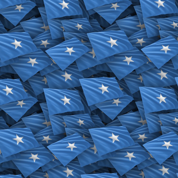 Somalia Flag – Pattern Crew