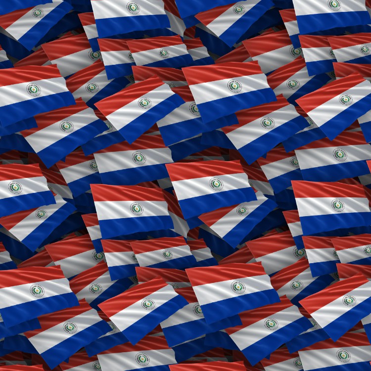 Paraguay Flag – Pattern Crew
