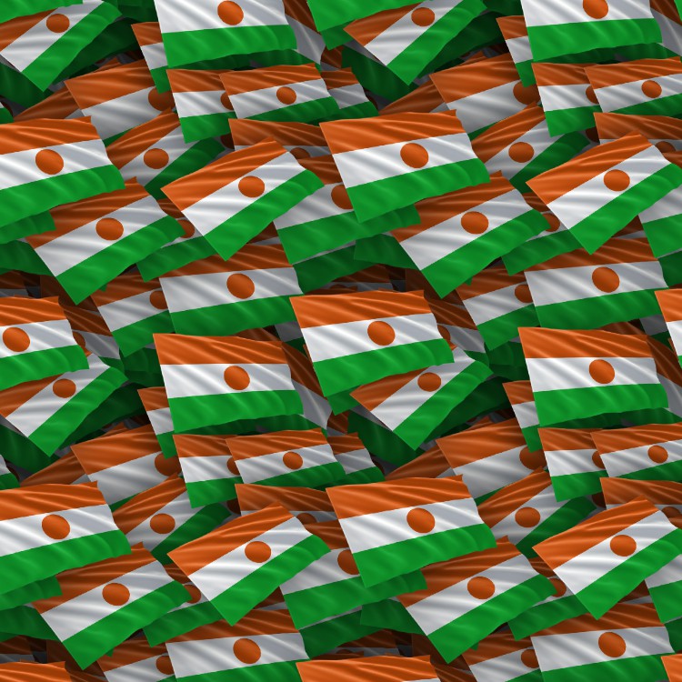 Niger Flag – Pattern Crew