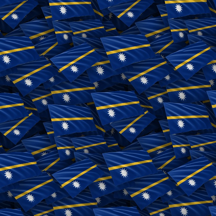 Nauru Flag – Pattern Crew