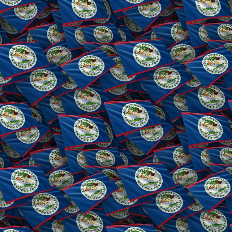 Belize Flag – Pattern Crew