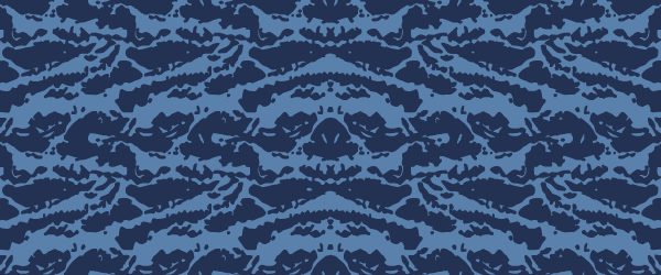 Call of Duty Blue Tiger Camo – Pattern Crew