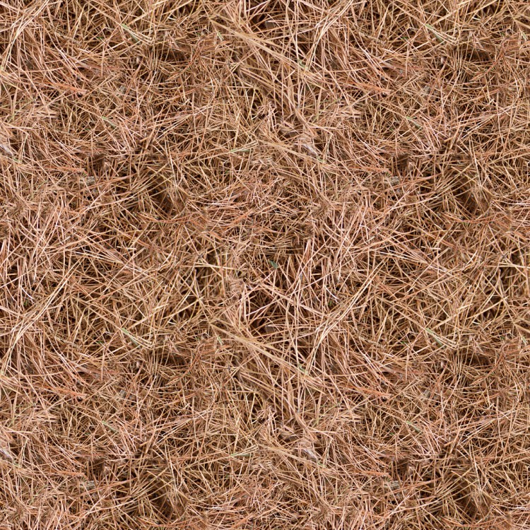 Pine Straw – Pattern Crew