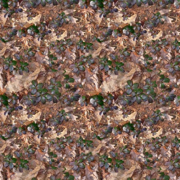 Ground 20 – Pattern Crew