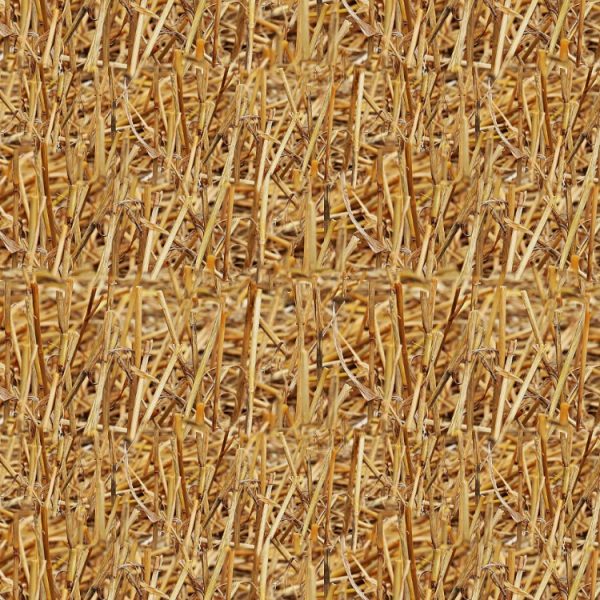 Cut Straw – Pattern Crew