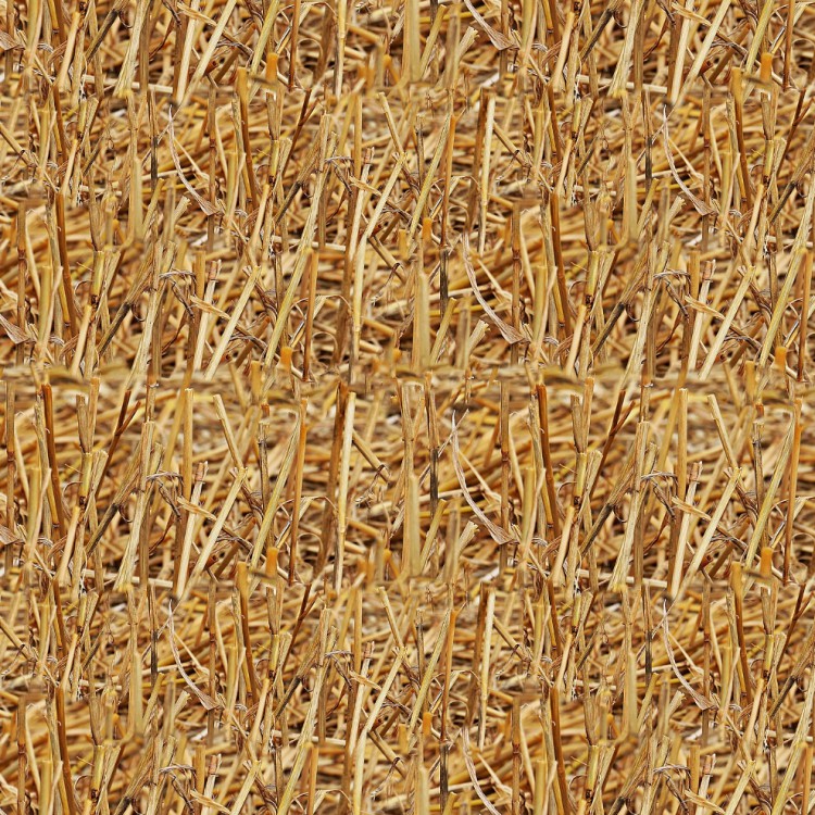 Cut Straw – Pattern Crew