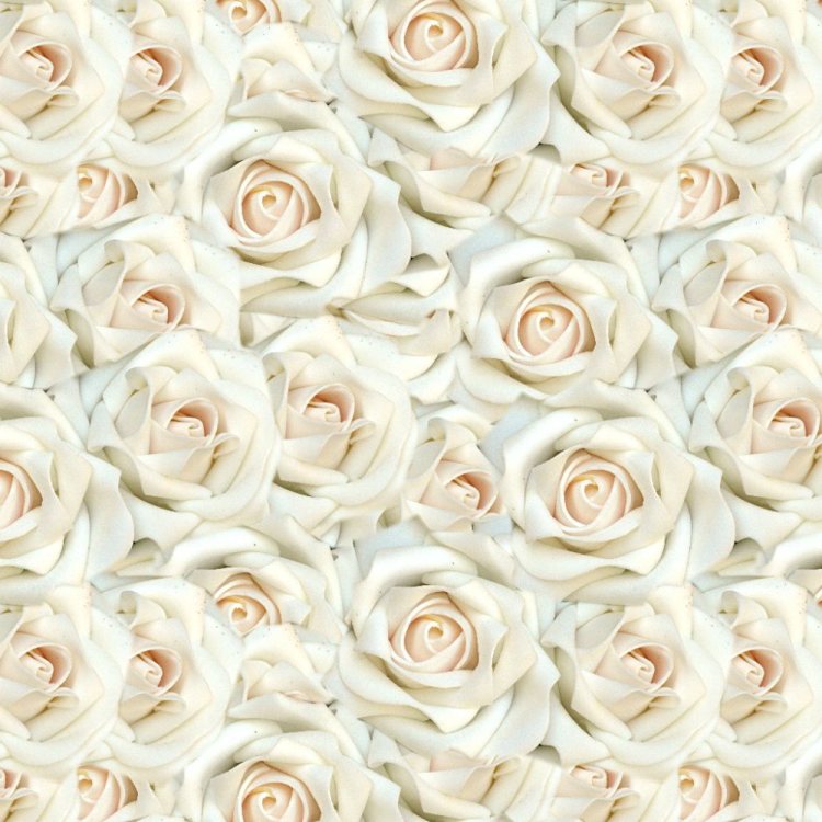 White Roses – Pattern Crew