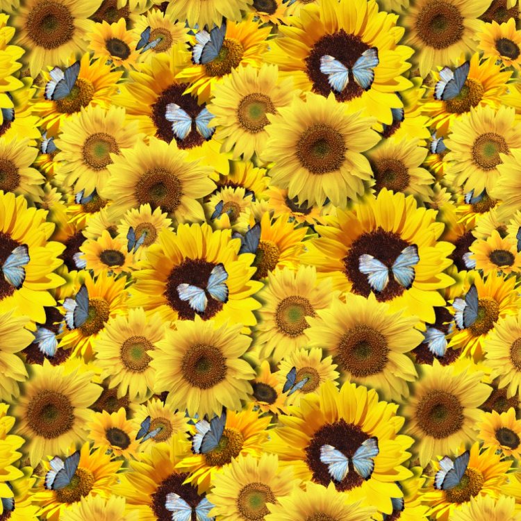 Sunflowers and Butterflies 23 – Pattern Crew