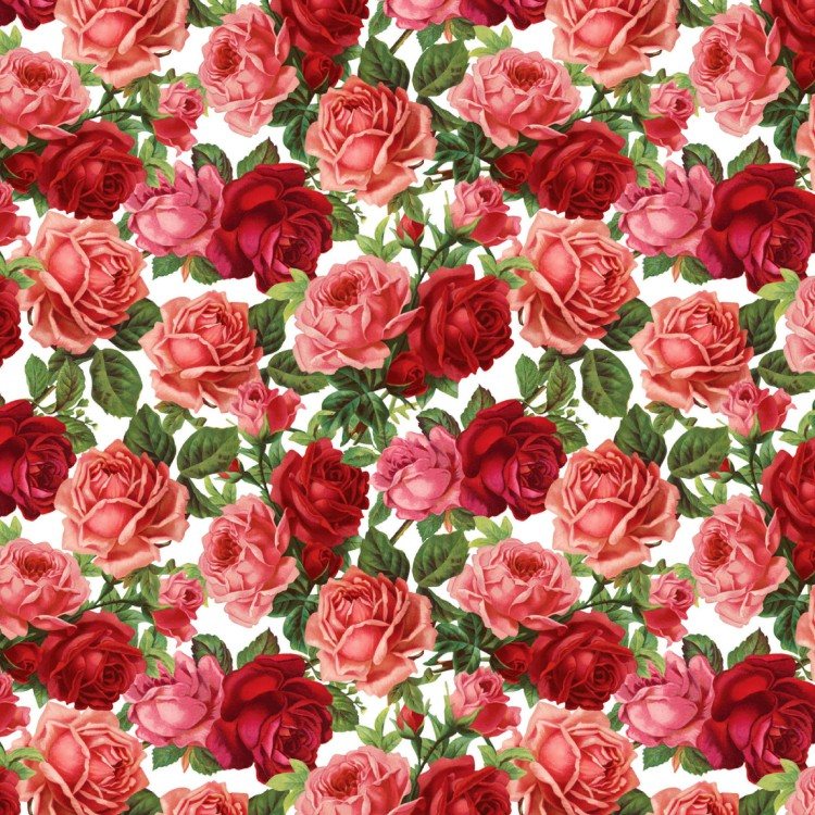 Roses 23 – Pattern Crew