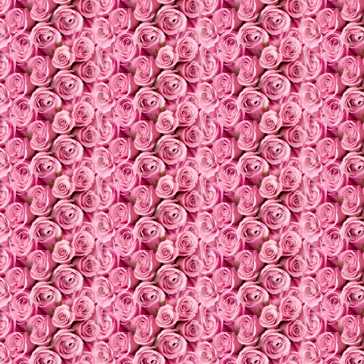 Pink Roses 21 – Pattern Crew