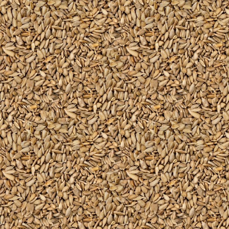 Seeds – Pattern Crew