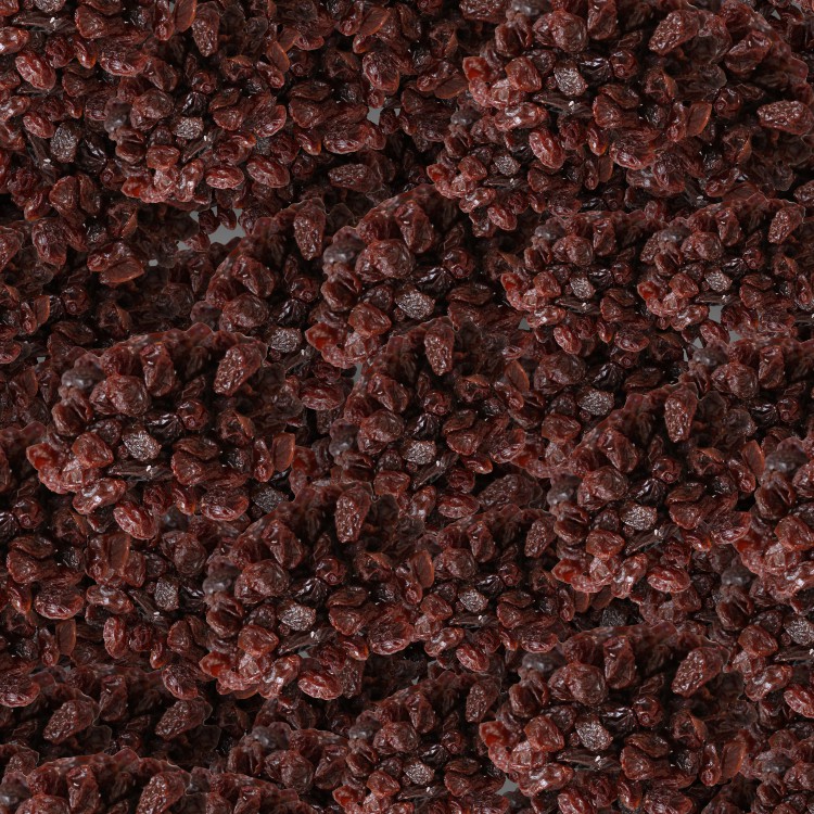 Raisins 22 – Pattern Crew