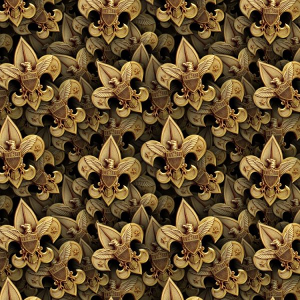 Boy Scouts of America 25 – Pattern Crew