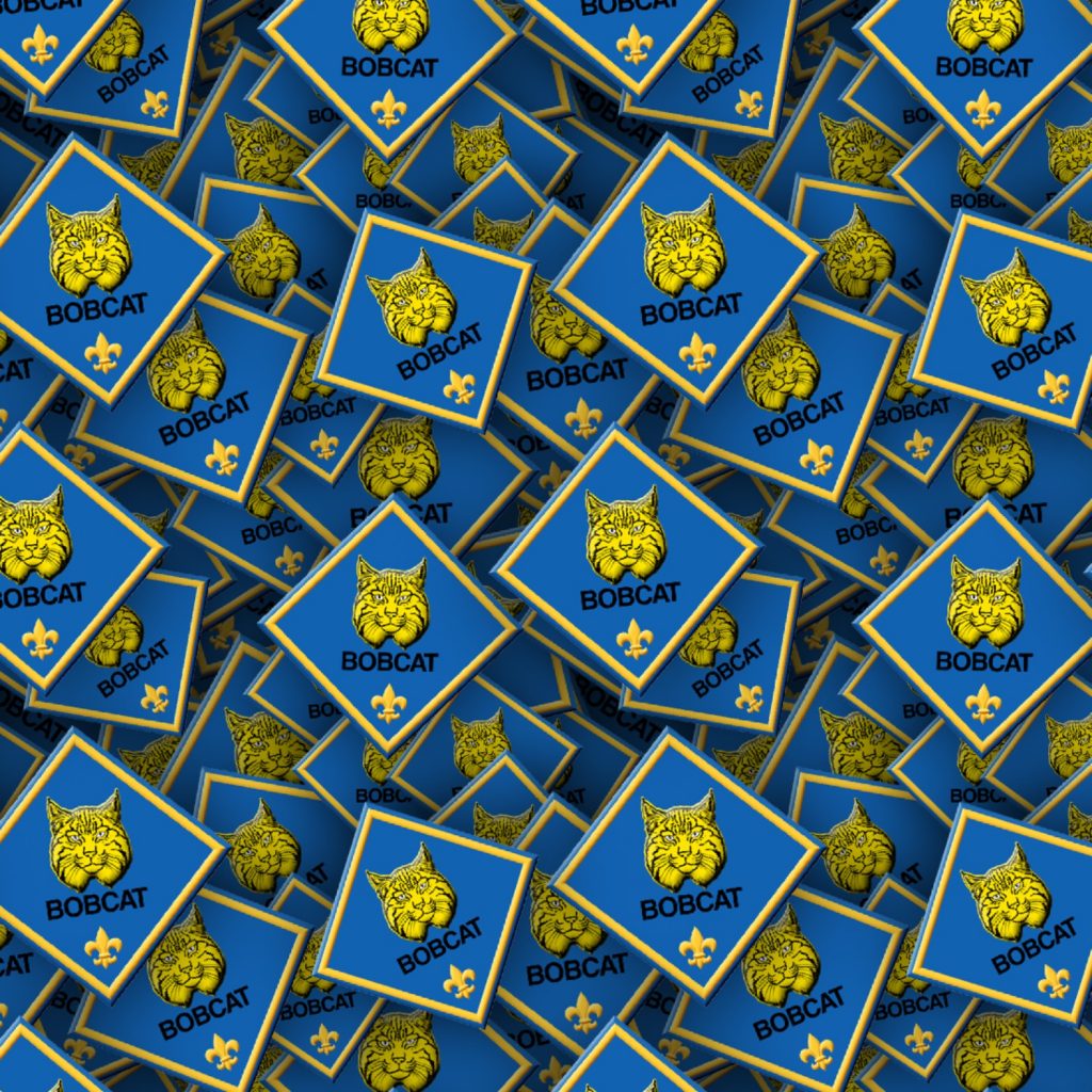 Boy Scouts Badges 23 – Pattern Crew