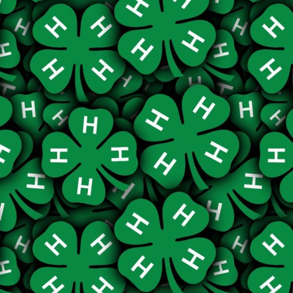4H Club – Pattern Crew