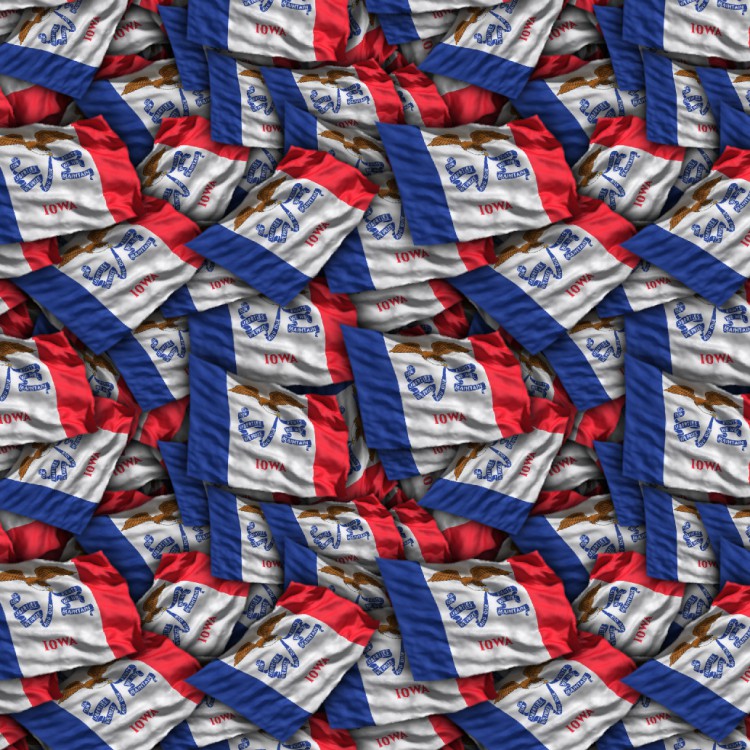 Iowa State Flag – Pattern Crew
