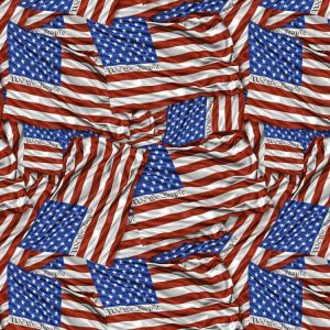 We the People US Flag – Pattern Crew