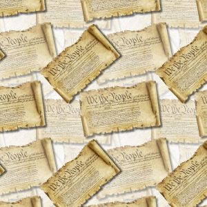We The People Constitution Scroll 24 – Pattern Crew